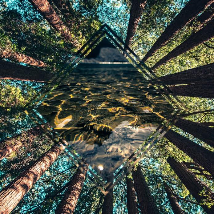 About – Scentual Landscape